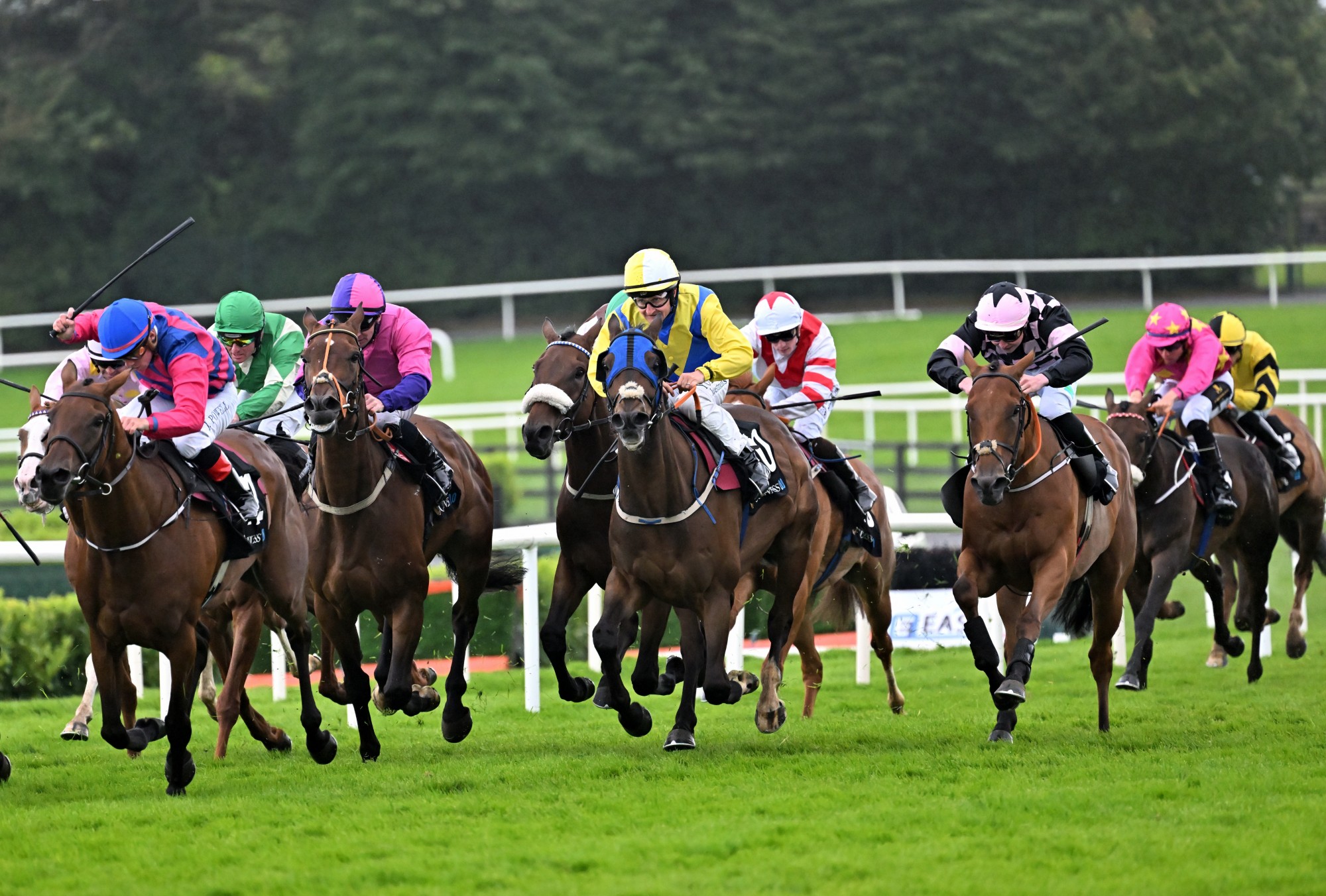 What's On Race Week at The Connacht Hotel Galway