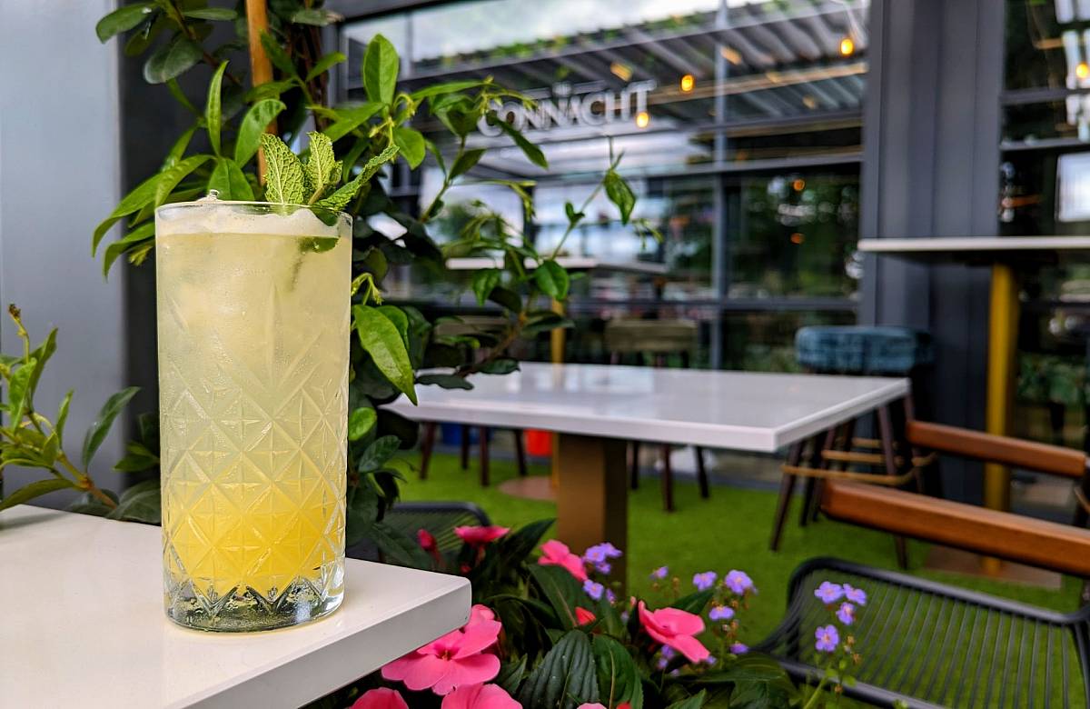 The Aviary - Venue Hire in Galway